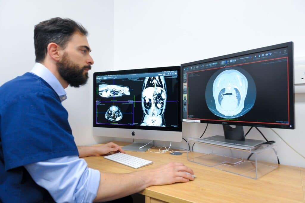 Neurology | Specialist Veterinary Scotland | Livingston