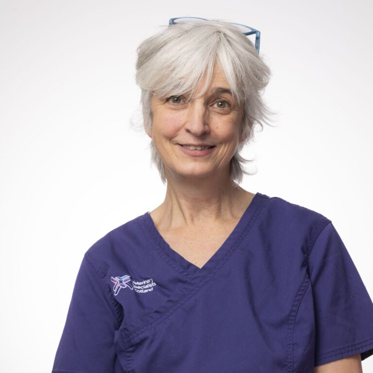 Our Team | Veterinary Specialists Scotland | Livingston